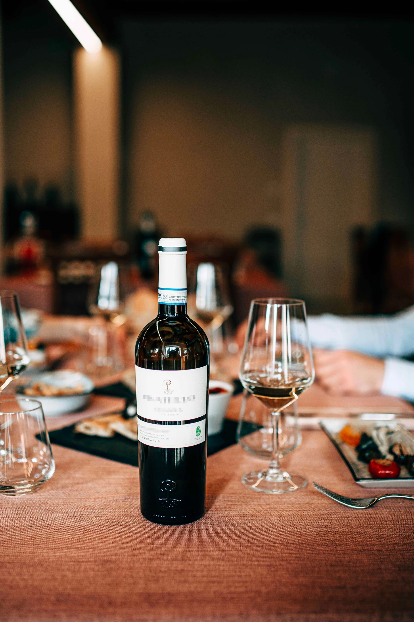 Wine tasting at Lake Garda: Unexpected Valtenesi - NowMyPlace