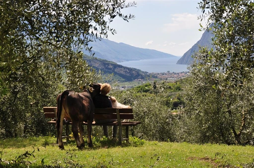Visit to the educational farm in Garda Trentino - NowMyPlace