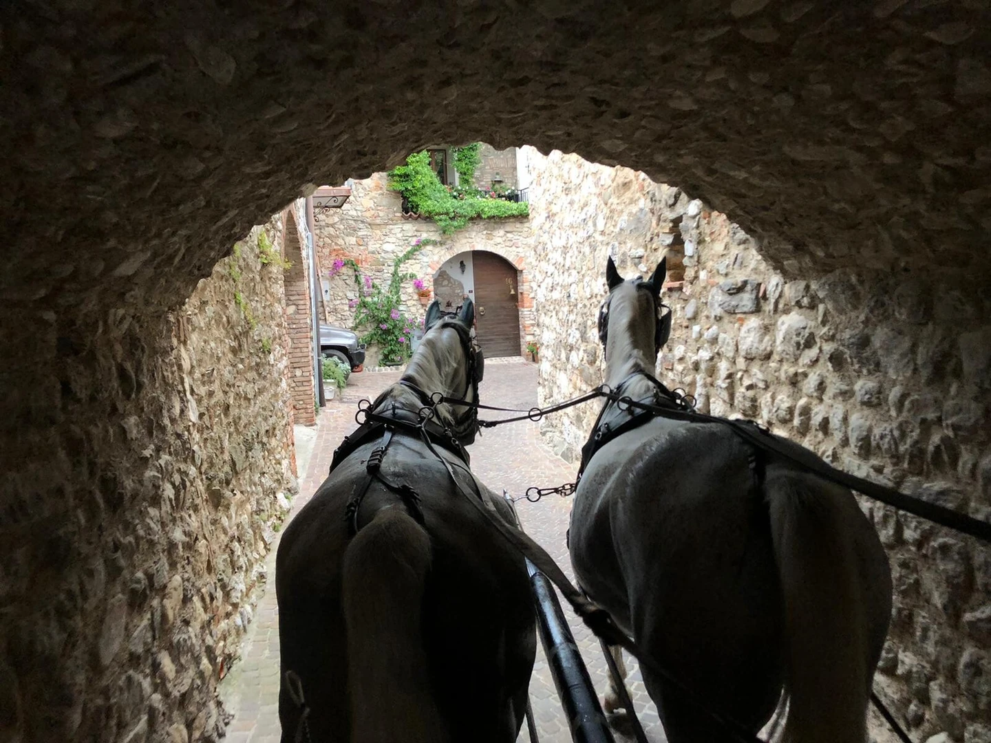 Carriage ride with lunch at Lake Garda - NowMyPlace